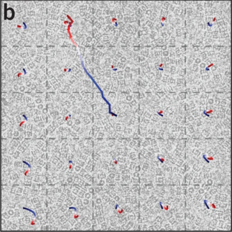 Chapter 1 – Preprocessing – cryoEDU